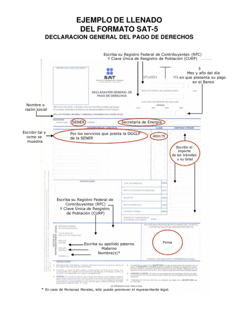 Formato SAT 5 para Imprimir | PDF