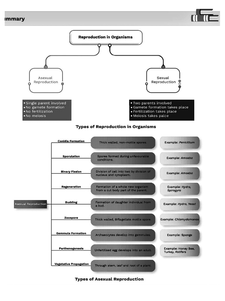mind map of all reproduction chapter | PDF