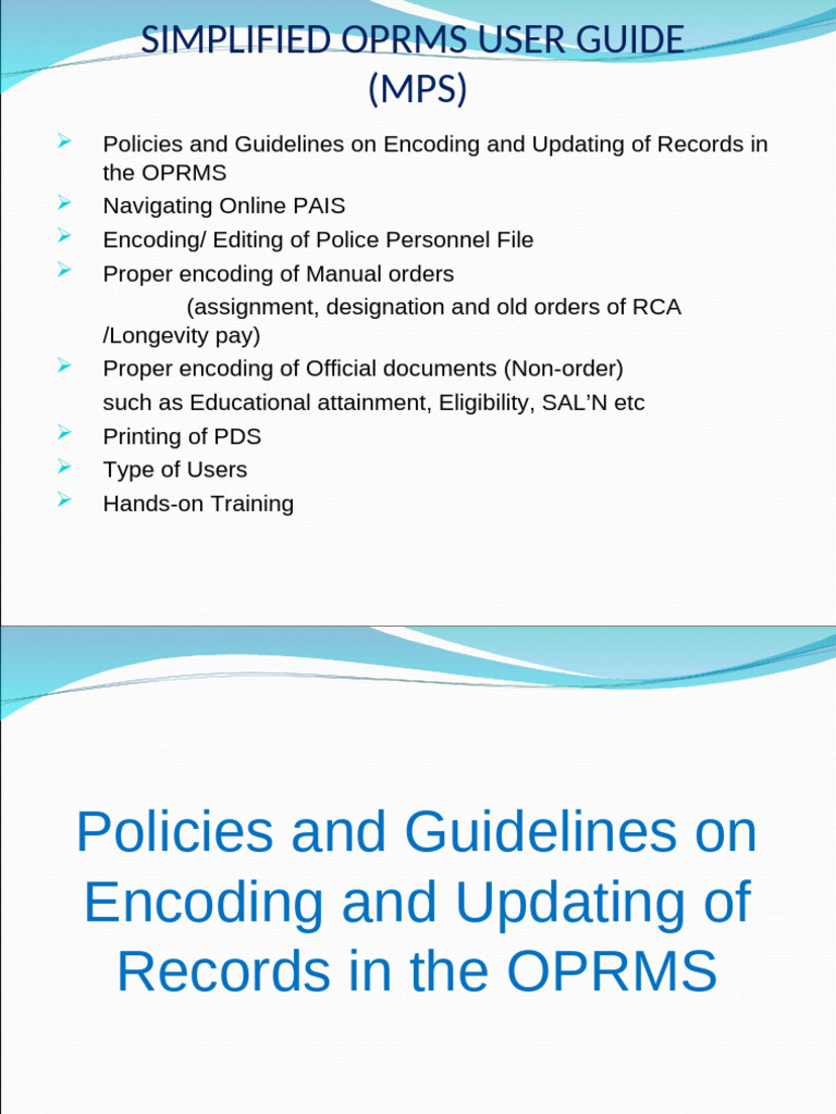 OPRMS | PDF | Information Technology Management | Information Technology