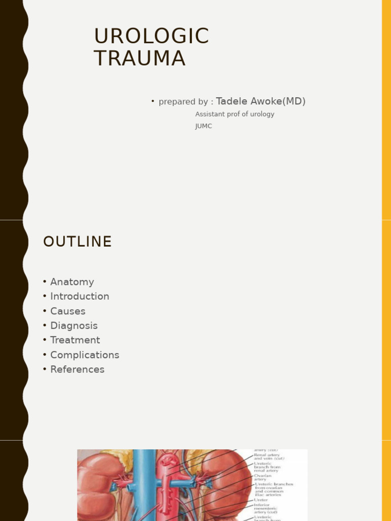 Urologic Trauma by DR Tadele | PDF | Urinary Incontinence | Urology