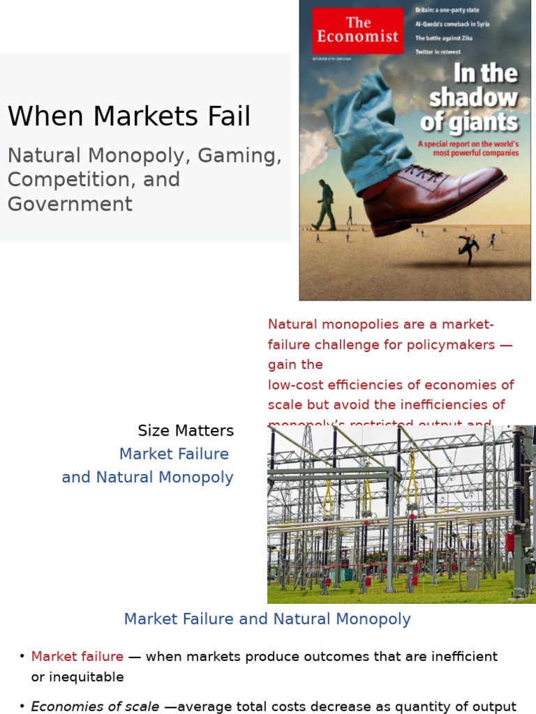 Micro Chapter 12 Student Slides by Mimi | PDF | Market Failure | Game ...
