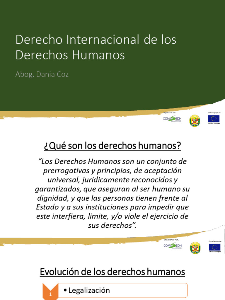 PPT - Introducción al DIDH | PDF | Ley internacional | Derechos humanos
