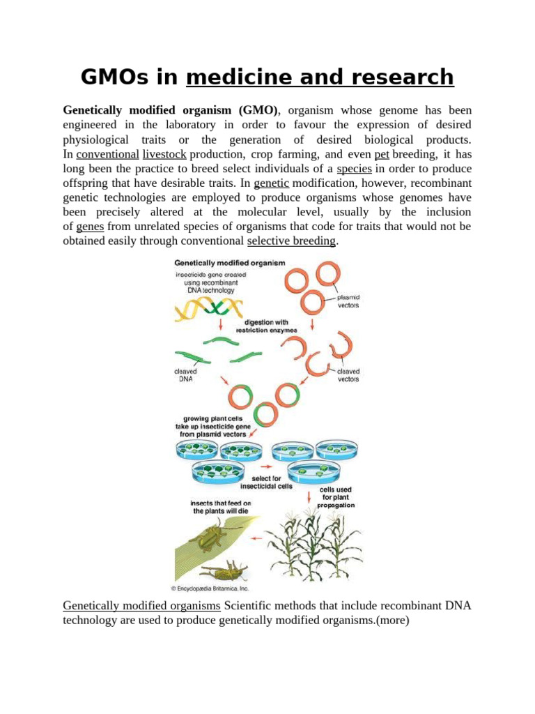 MGO | PDF | Genetic Engineering | Genetically Modified Organism