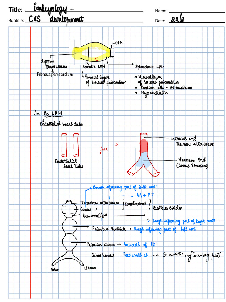 CVS DEVELOPMENT | PDF