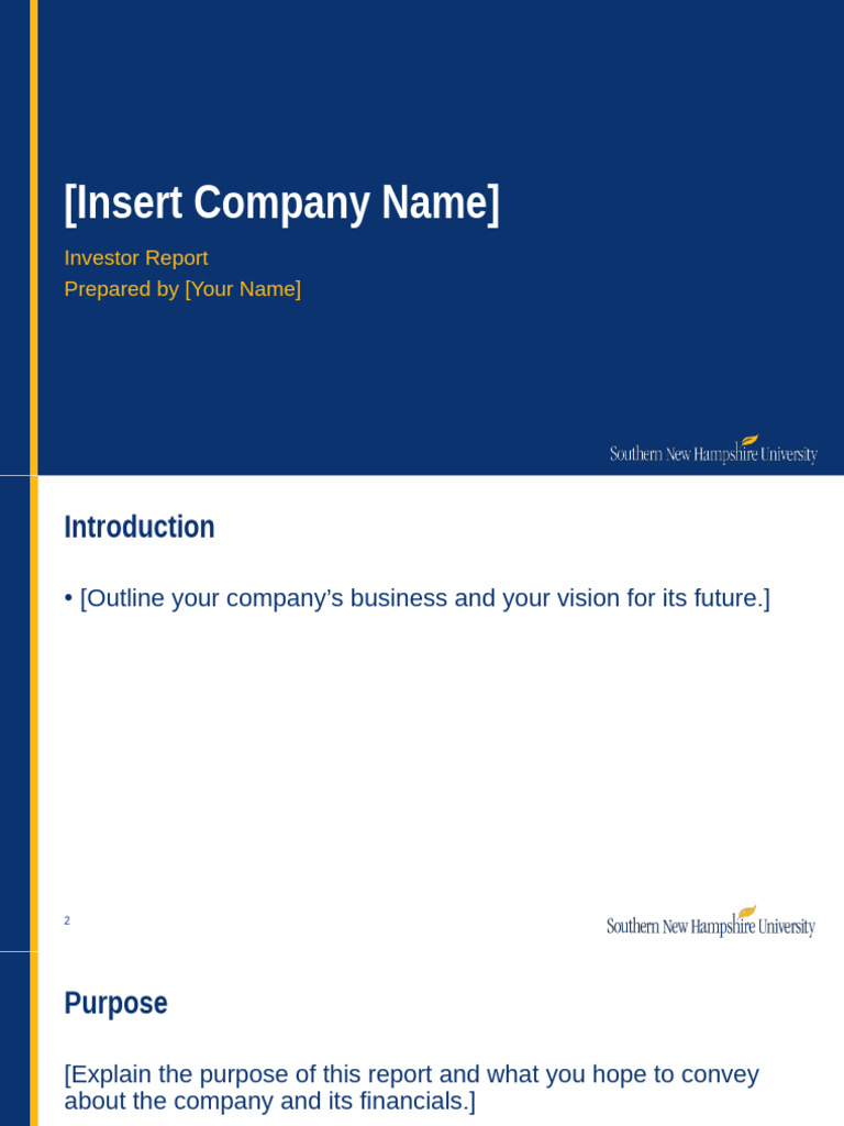 ACC 202 Investor Report Template | PDF