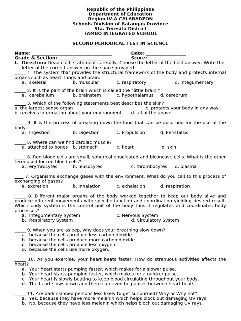 Grade 3 Science 2nd Periodical Test | PDF | Rainforest | Heart