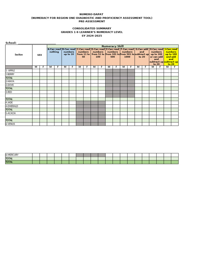 Learner Numeracy Assessment Summary 2024 | PDF | Cognitive Psychology | Human Communication