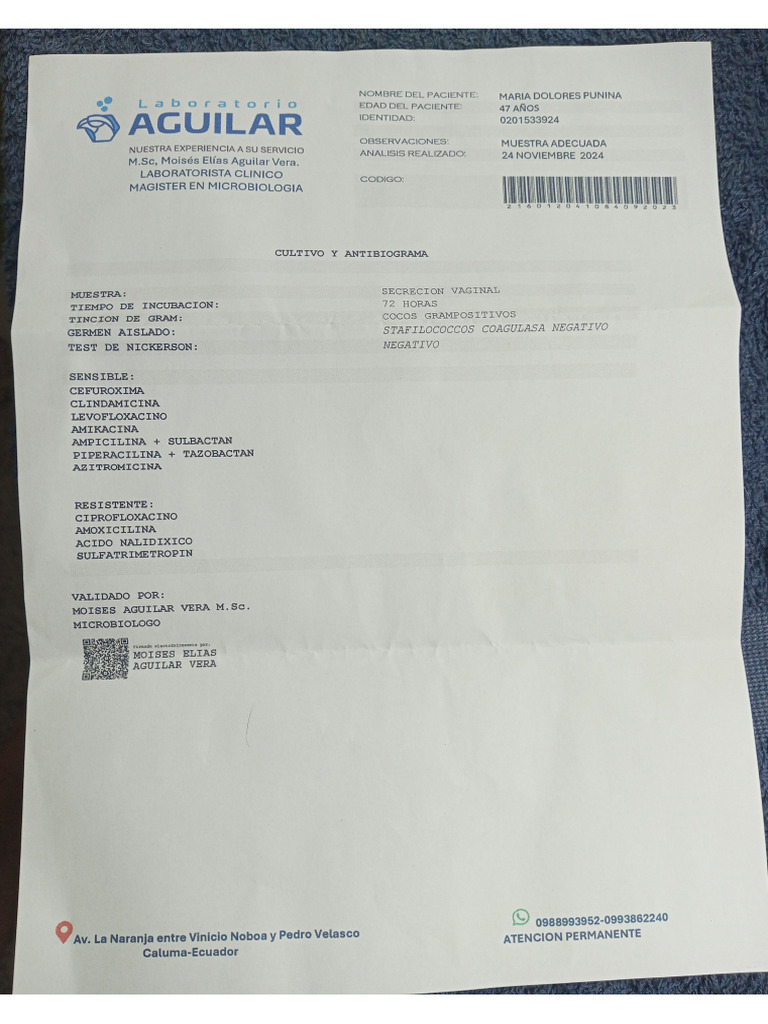 PDFReader 20250112 1732 | PDF