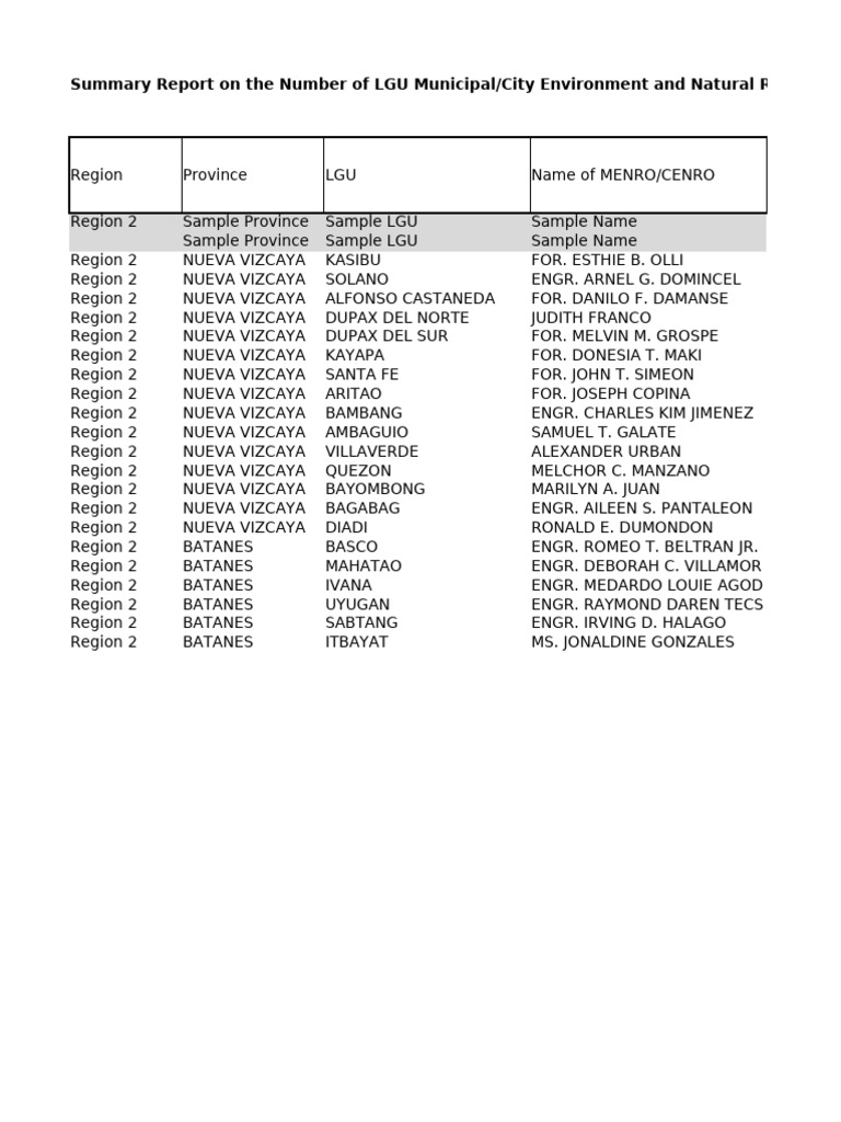 Summary Reports Request Template NUEVA VIZCAYA and BATANES | PDF
