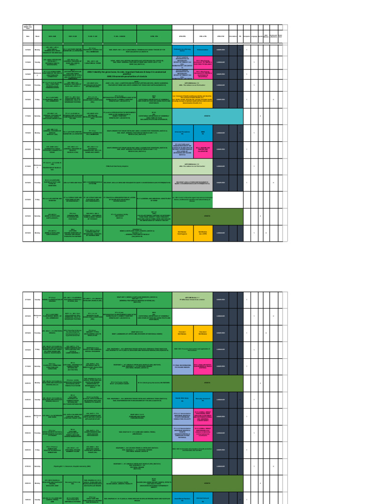 First Year Time Table 2022-23 | PDF | Thorax | Shoulder