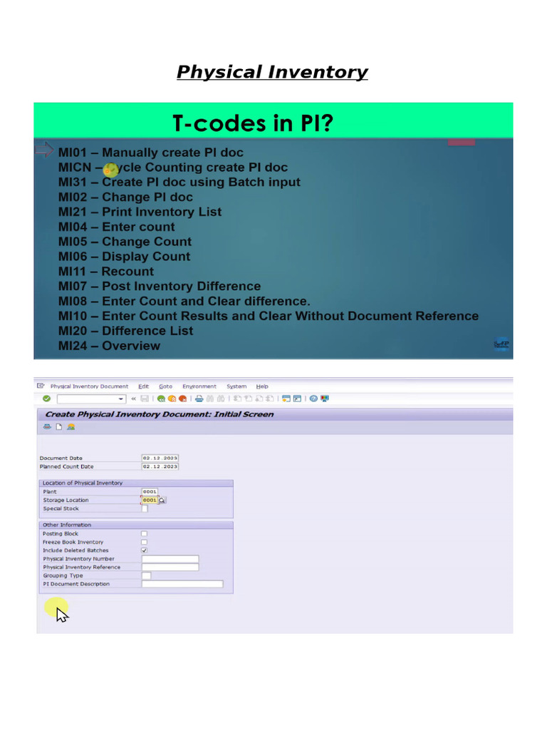 Physical Inventory | PDF
