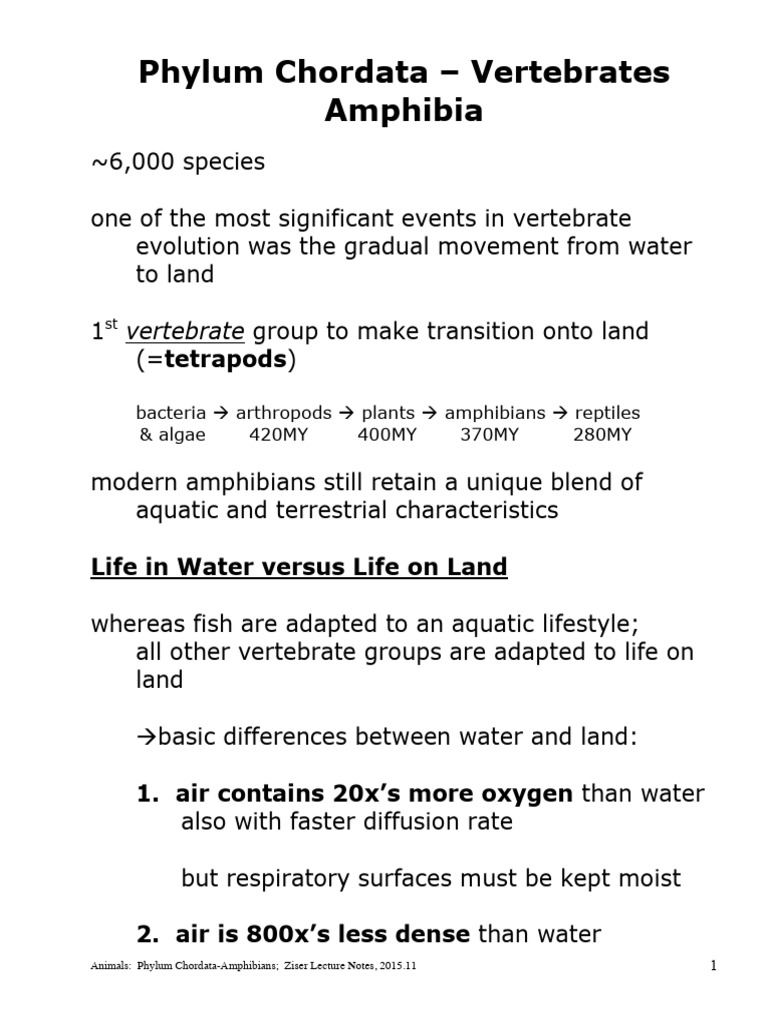 Phylum Chordata: Amphibians Overview | PDF | Amphibian | Frog