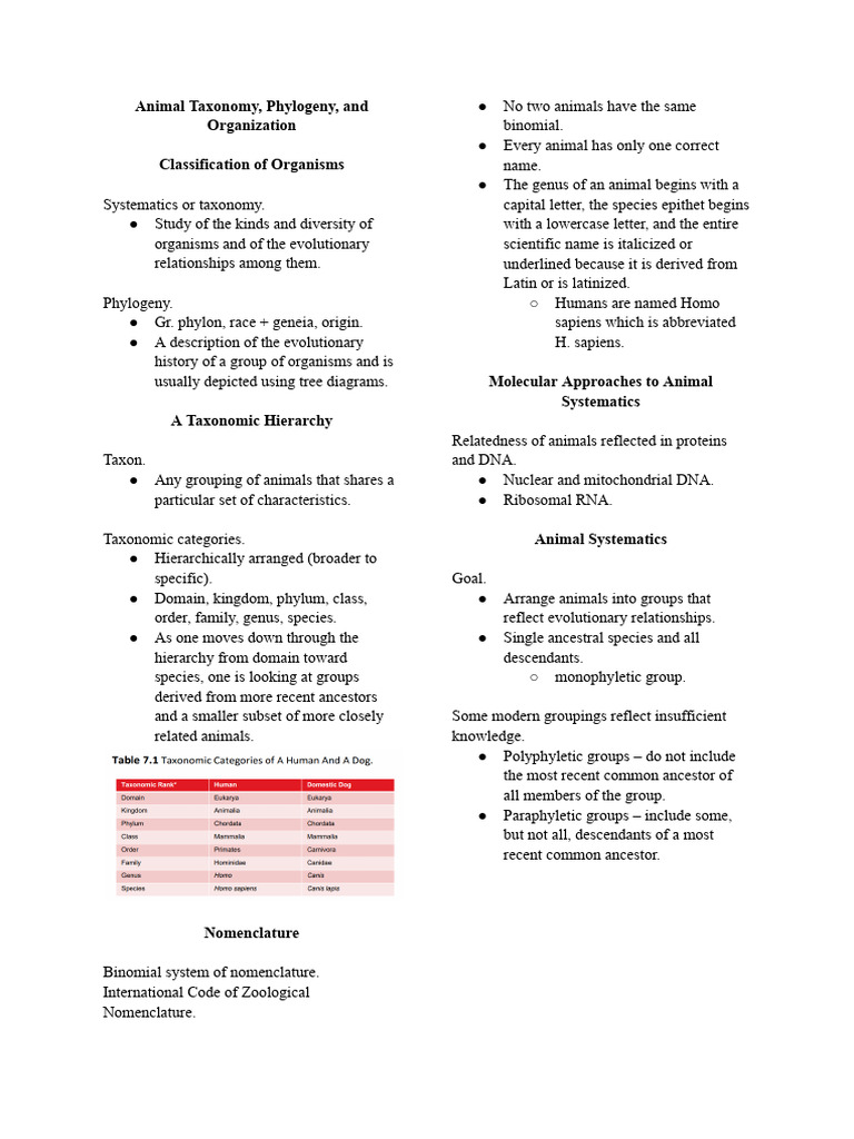 (LEC) Animal Taxonomy, Phylogeny, and Organization | PDF | Taxonomy ...