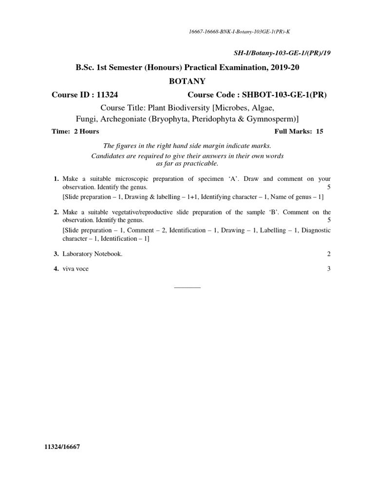 Botany Practical Exam Guidelines 2019 | PDF | Proteins | Botany