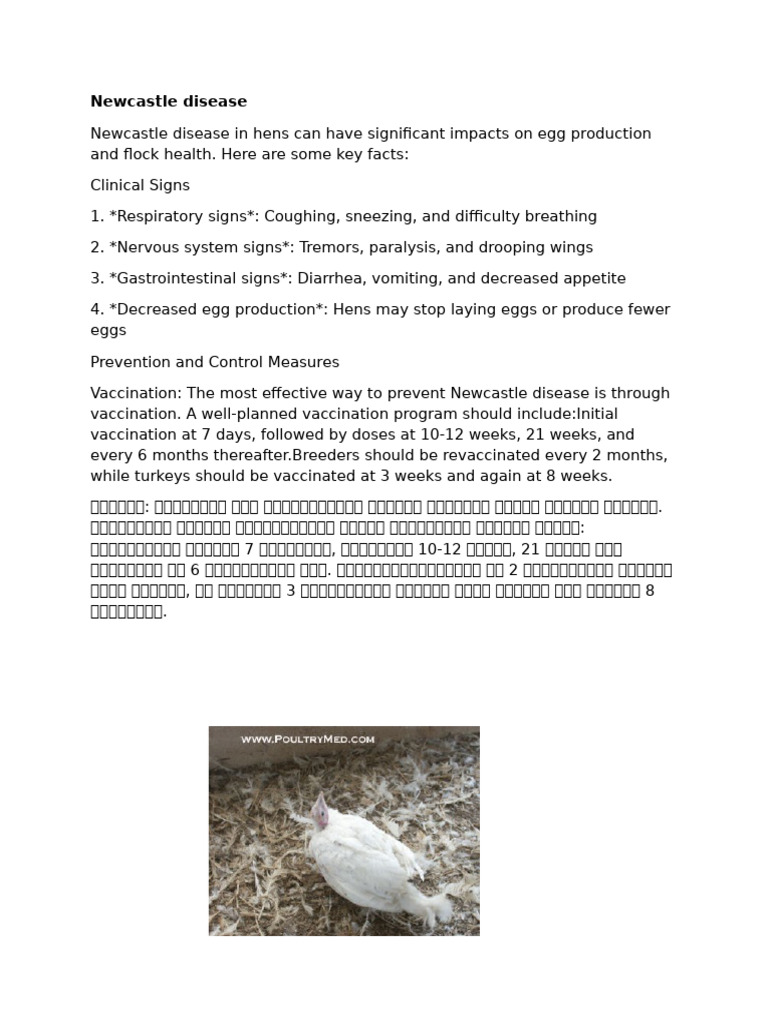 Newcastle Disease | PDF