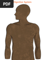 Printable Digestive System Cut-Outs | PDF