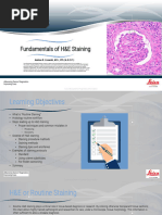 Troublshooting On The Roche Ventana Benchmark Ultra | PDF ...