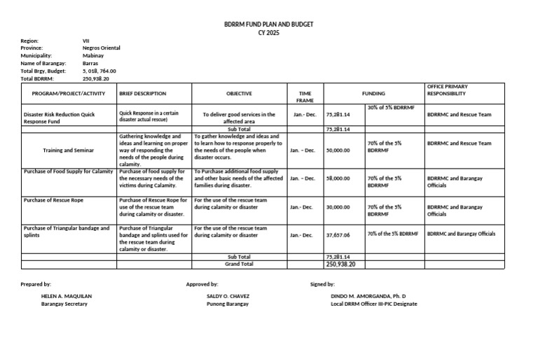 BDRRM PLAN AND BUDGET | PDF | Emergency Management | Disasters