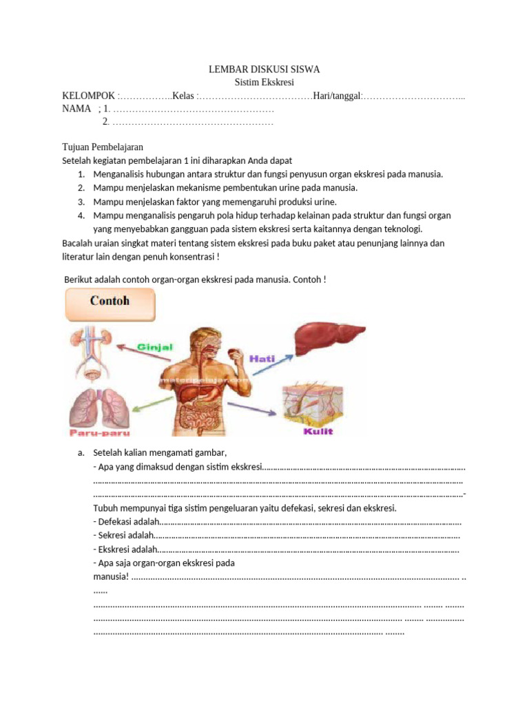Lembar Diskusi Siswa Ekskresi | PDF