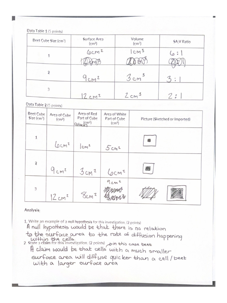 Data Table 1 (5 Points) | PDF