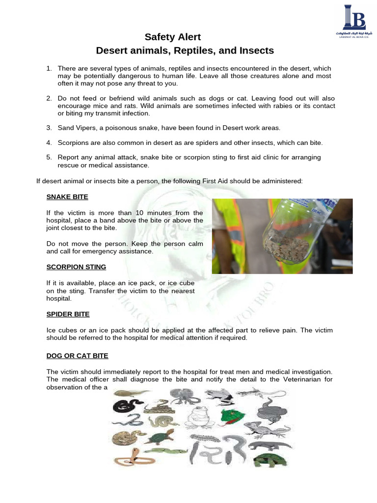 Safety Alert snake | PDF