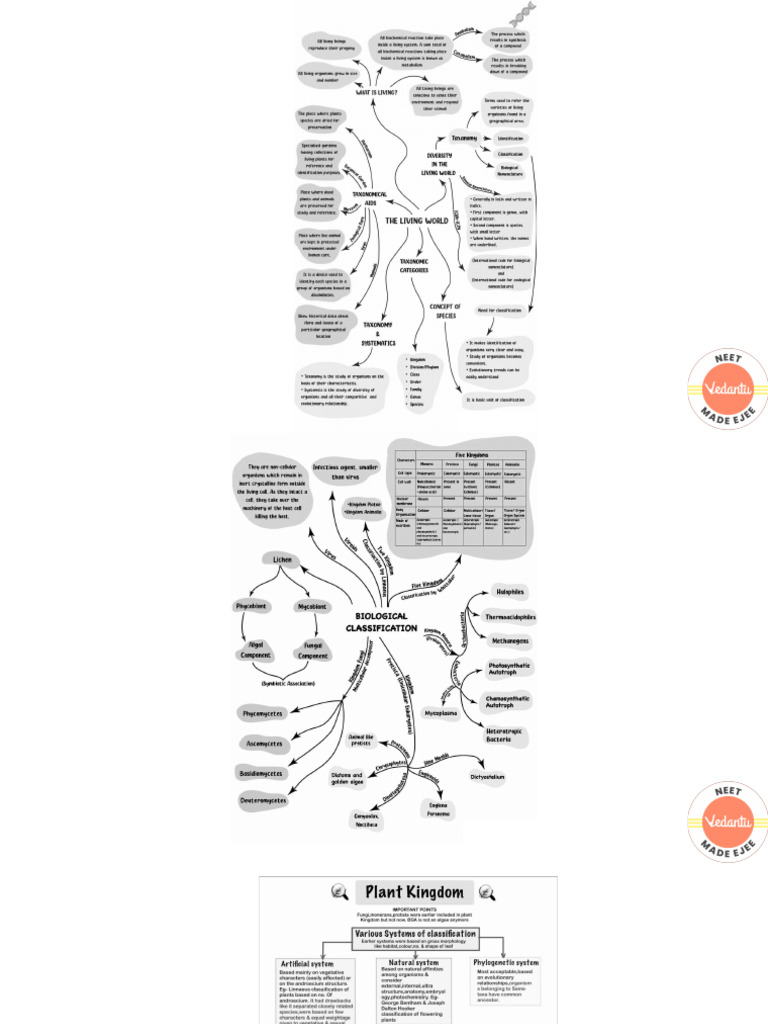 Biology Mind Map Class 11 - Neet | PDF