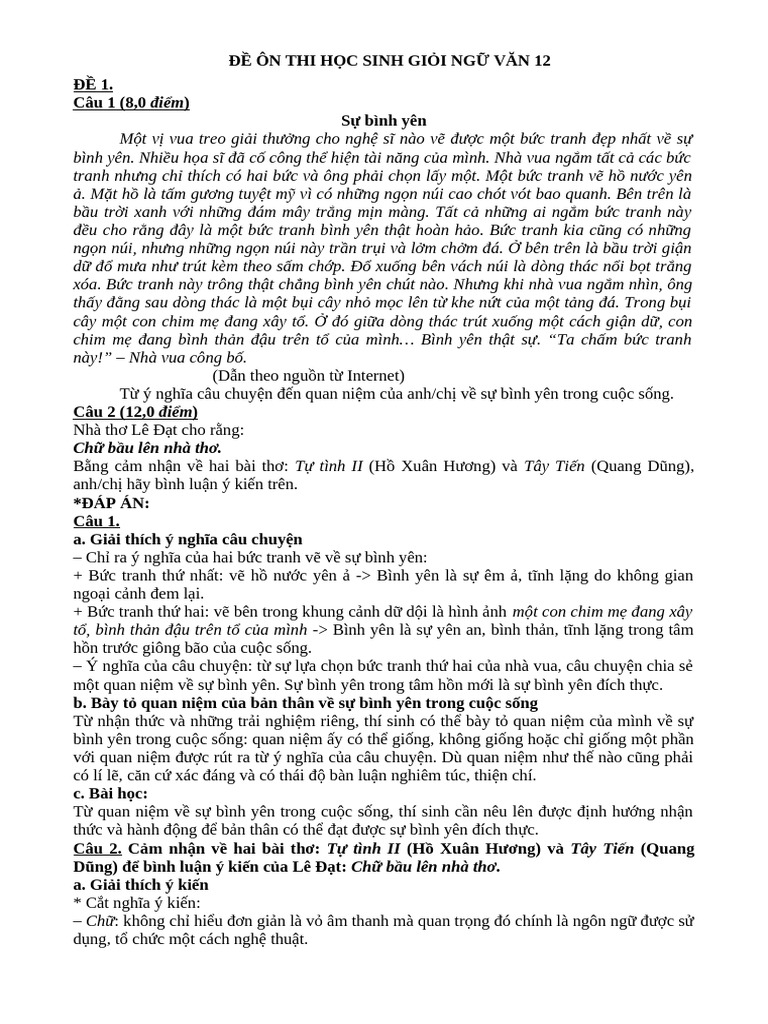 BỘ ĐỀ ÔN THI HSG VĂN 12 | PDF