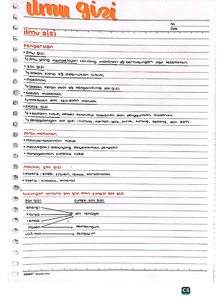 GIZI DAN DIET Ilmu Gizi | PDF