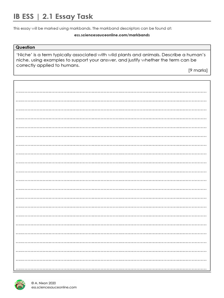 2.1 Essay Task | PDF