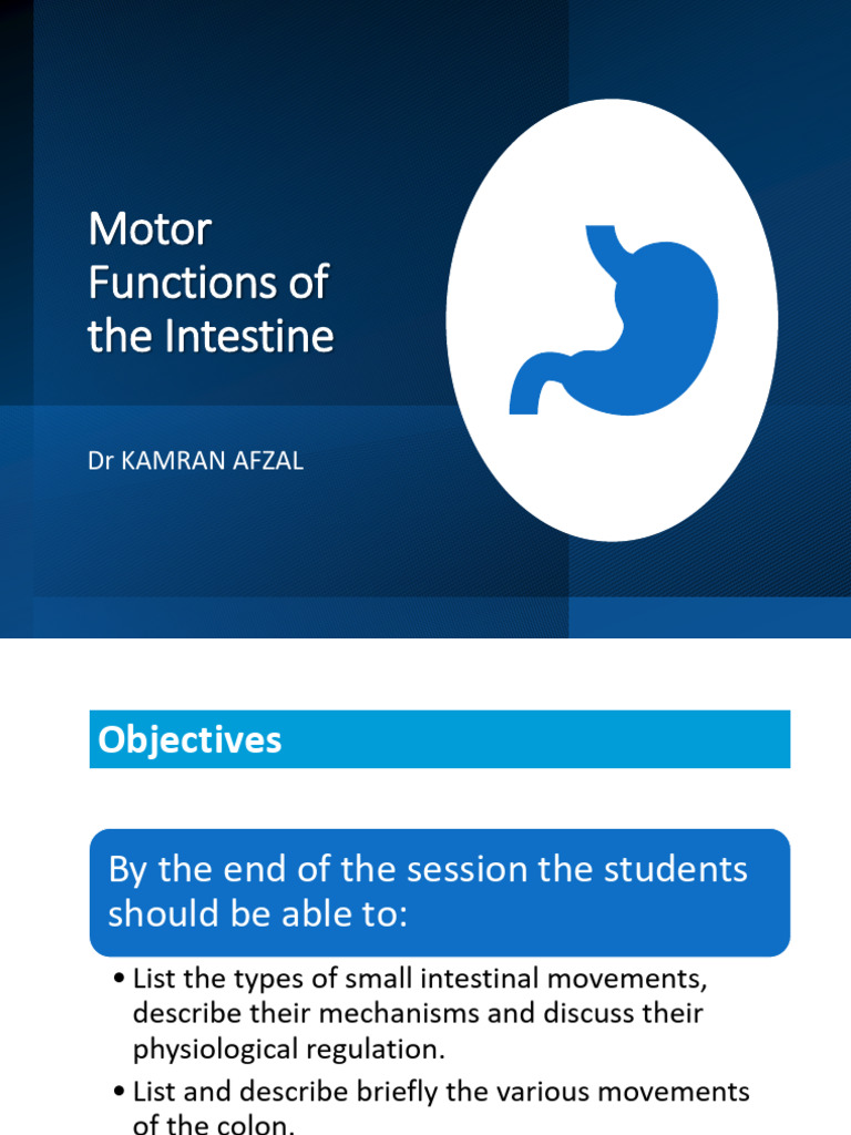 29 - Physiology - Motor Functions of The Intestine - DR Kamran Afzal ...