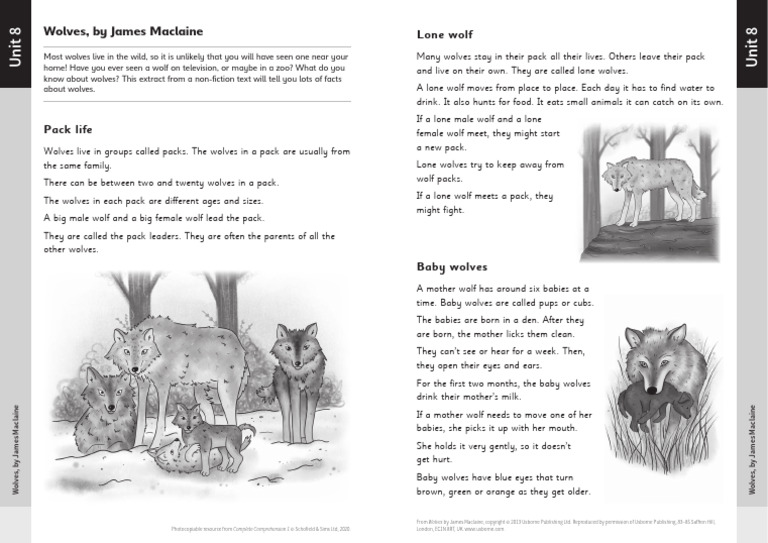 568059371-Comprehension-Texts-Year-1-unlocked-pages-10 | PDF | Canis ...