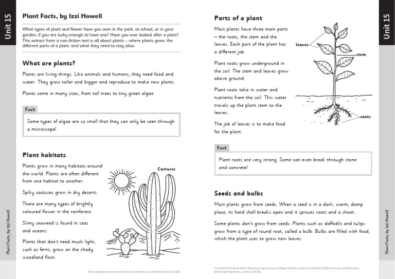 Comprehension Texts Year 1 Unlocked Pages 17 | PDF | Plants | Root