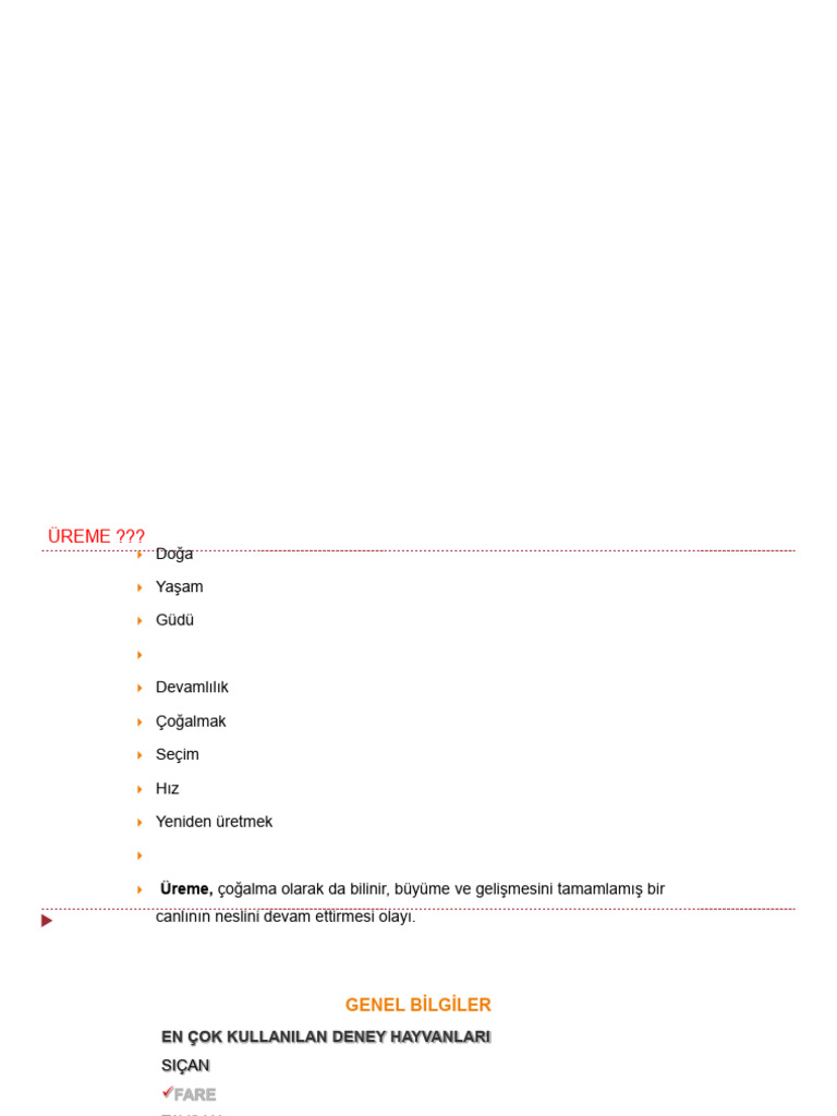 10 Sunum | PDF