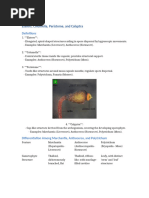 Chara | PDF | Algae | Biology