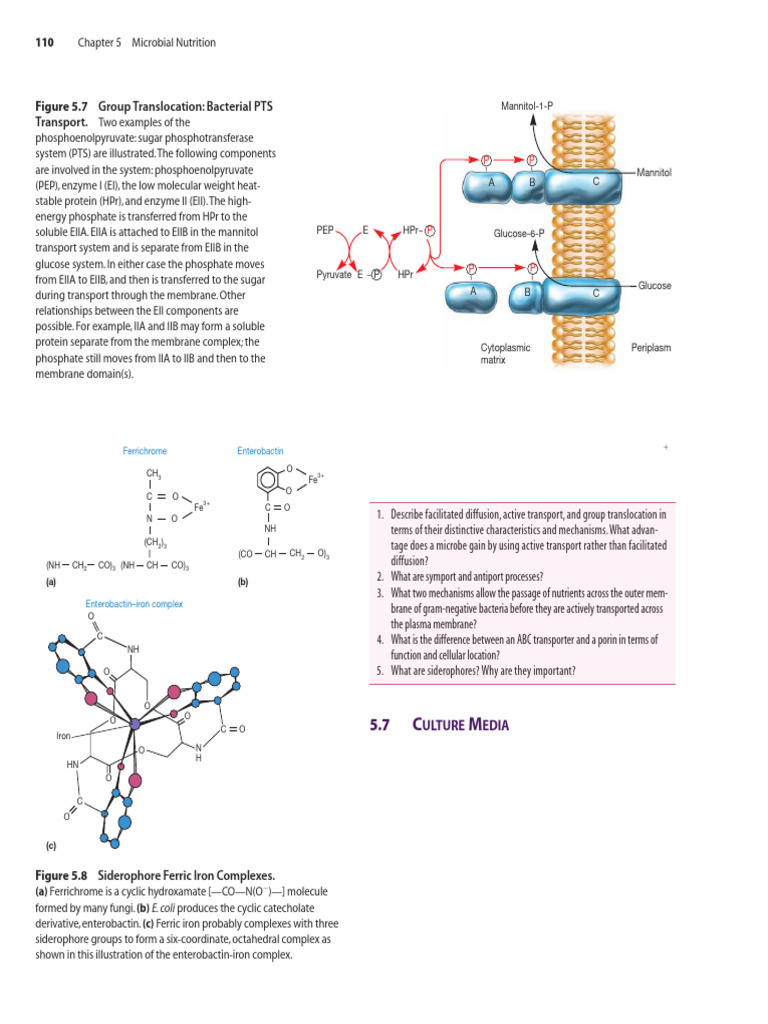 Culture Media Plating Techniques | PDF | Growth Medium