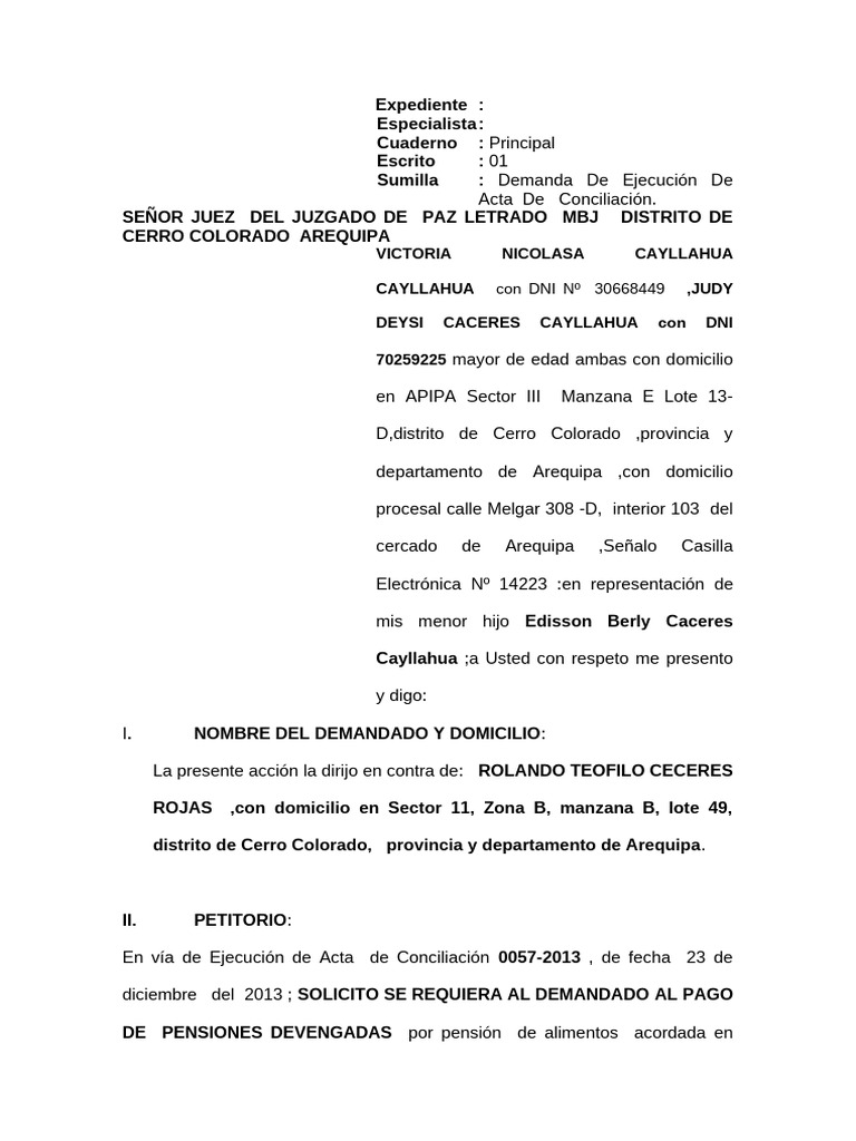 Ejecucion Roxana Margot | PDF | Pensión alimenticia