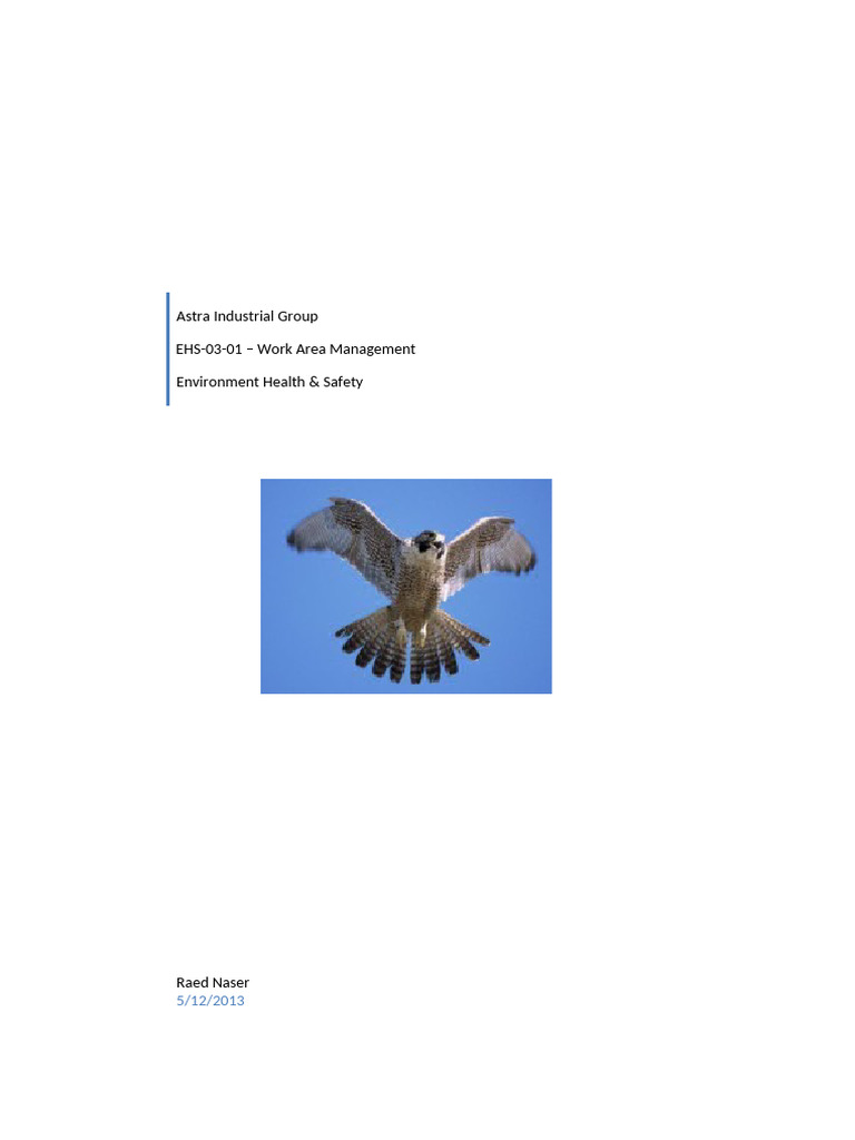 EHS-End-User-Manual-Work Area Management v1.1 | PDF | Information ...