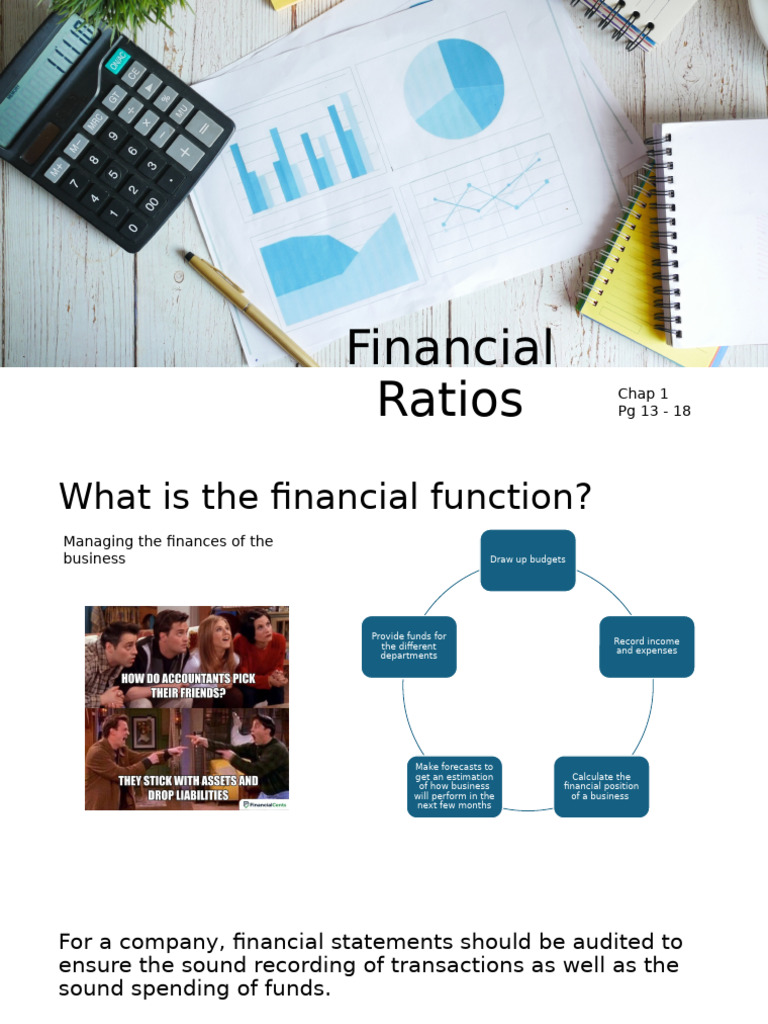 Financial Ratios - Business Studies Gr12 | PDF | Balance Sheet | Expense