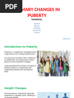 Puberty Changes Worksheet | PDF