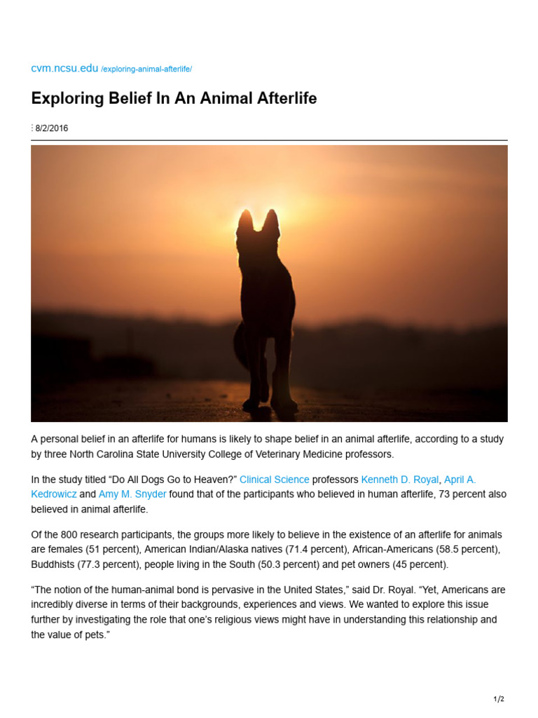 Exploring Belief In An Animal Afterlife | PDF | Afterlife | Pet