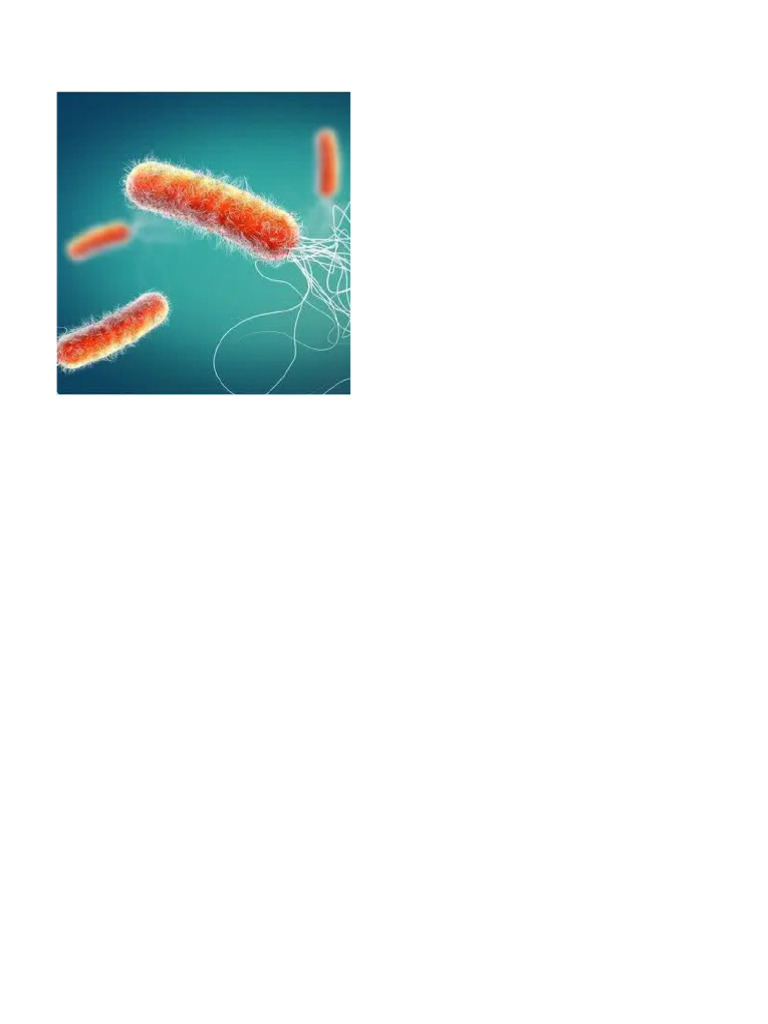 Bacteria | PDF