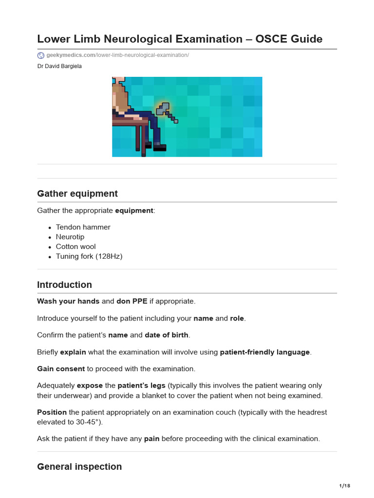 Lower Limb Neurological Examination OSCE Guide | PDF | Human Leg | Human Anatomy