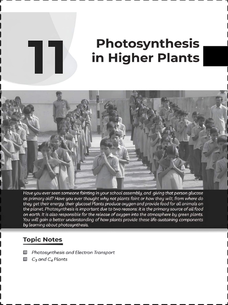 11 Bio Chapter 11 FTR | PDF