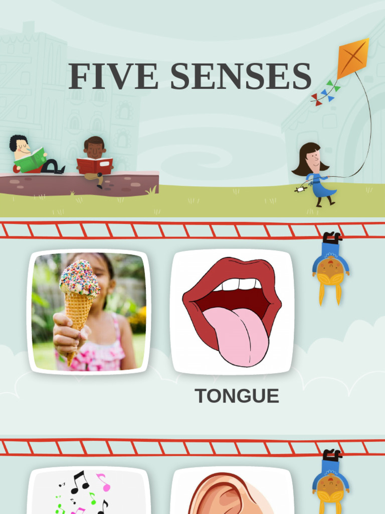 Five Senses | PDF