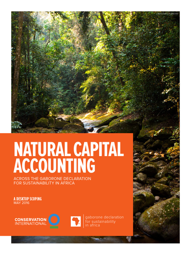 Natural Capital Accounting Across The GDSA | PDF | Sustainability ...