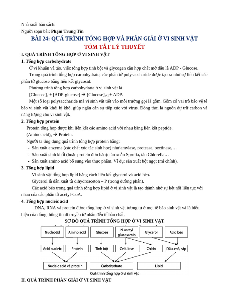 Bài 24 Quá Trình Tổng Hợp Và Phân Giải ở Vsv | PDF