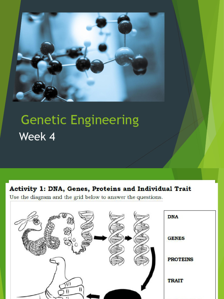 Week 4 Genetic Engineering Lecture For Student - 105327 | PDF | Genetic ...