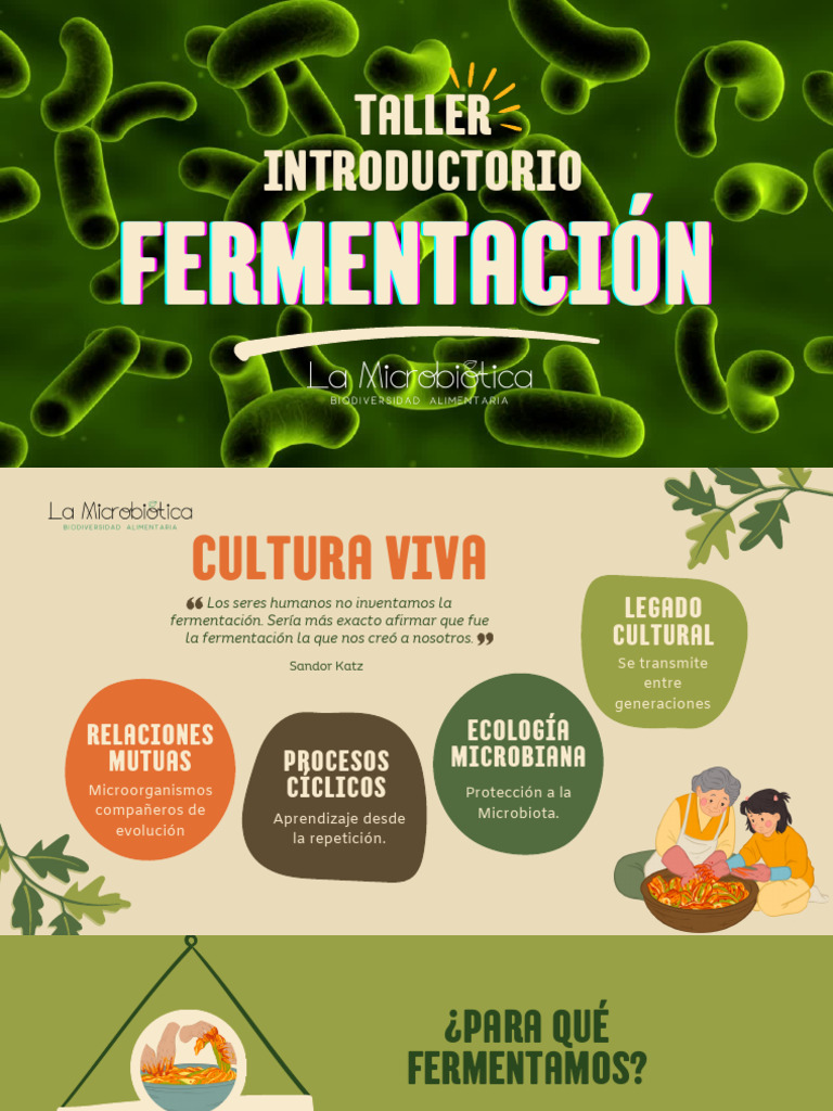 Taller Introductorio FermentaciÃ N | PDF | Pepinillos en vinagre | Fermentación
