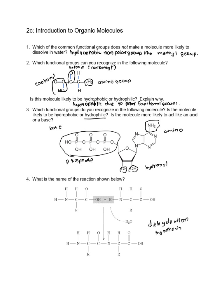 2c Organic Chemistry Workbook | PDF