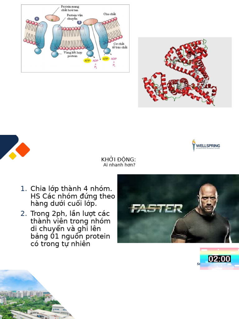 KHTN 9 - Protein | PDF